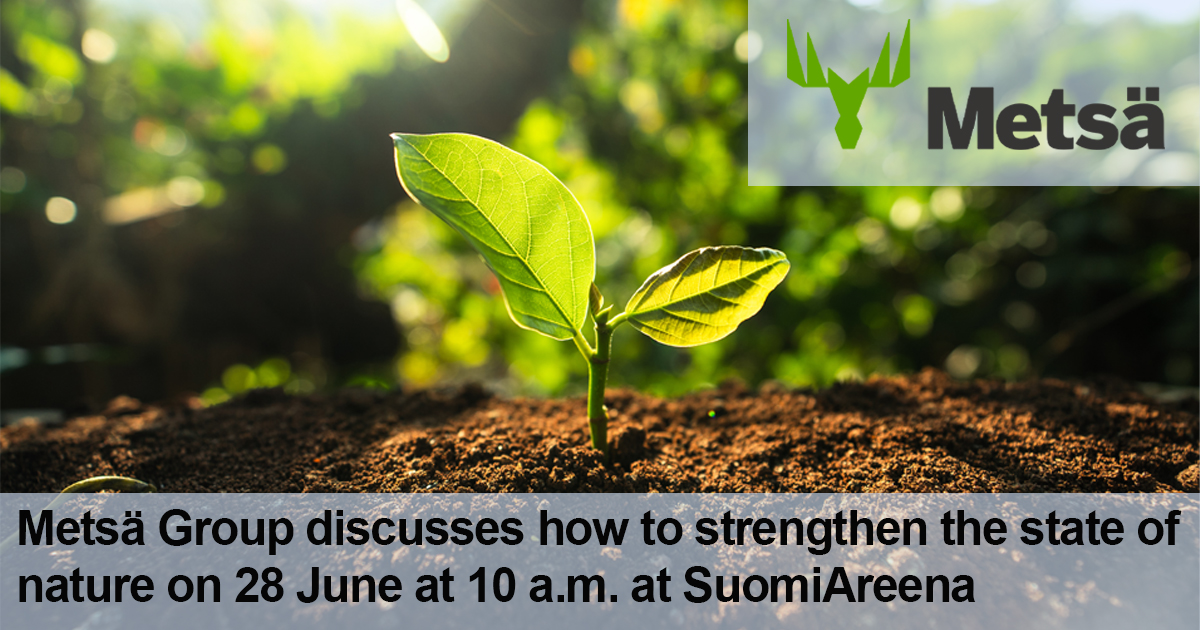 Metsä Group discusses how to strengthen the state of nature on 28 June ...