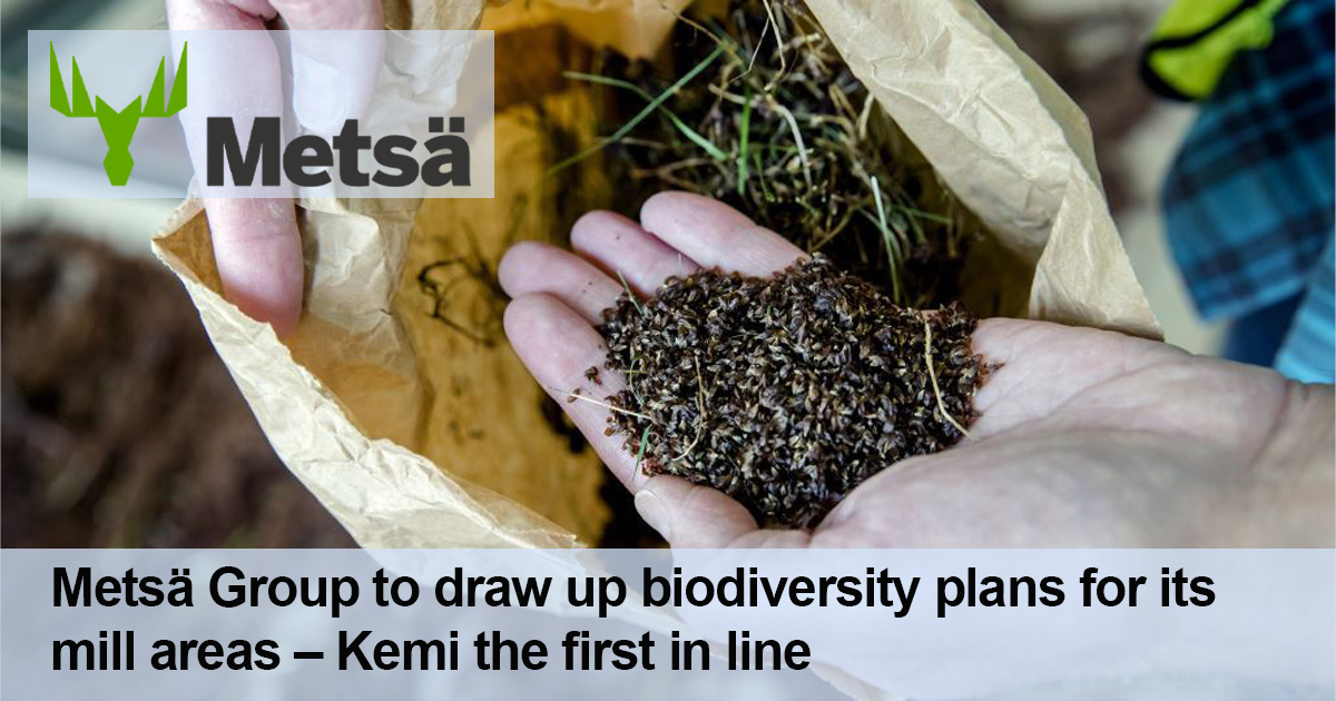 Metsä Group to draw up biodiversity plans for its mill areas