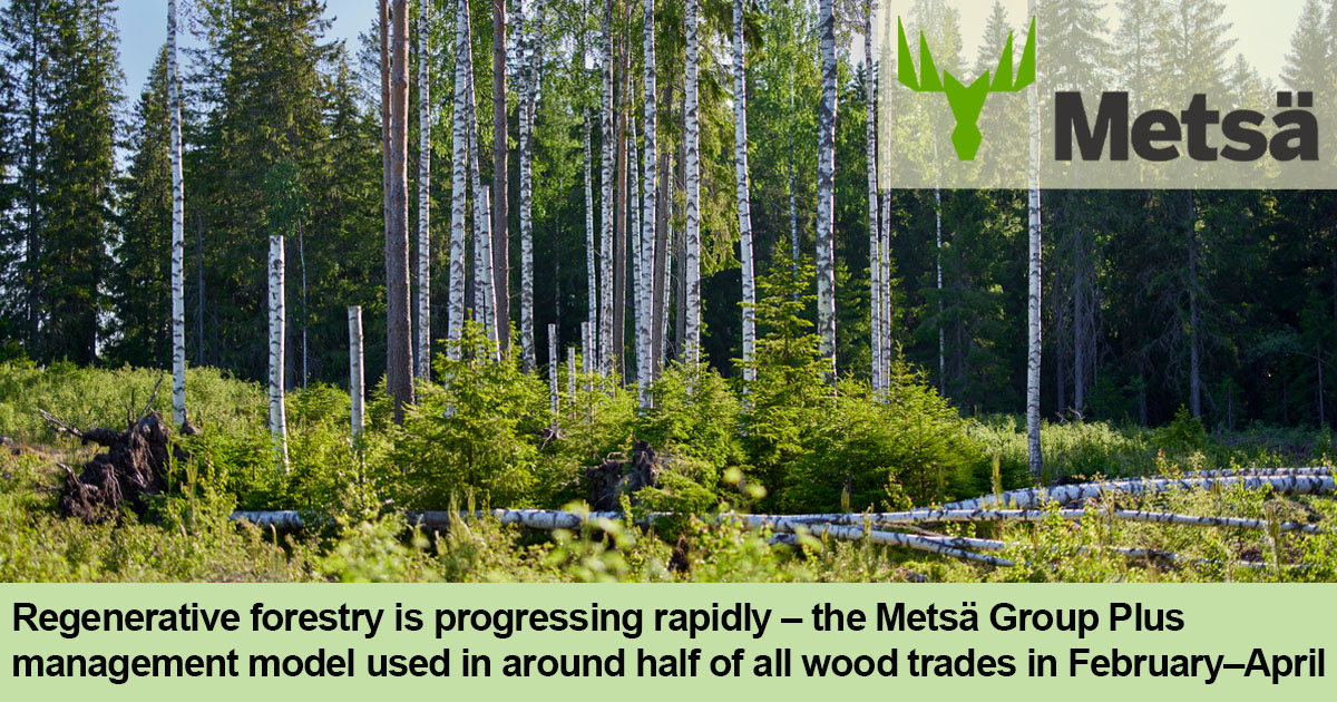 Metsä Group – Regenerative forestry is progressing rapidly