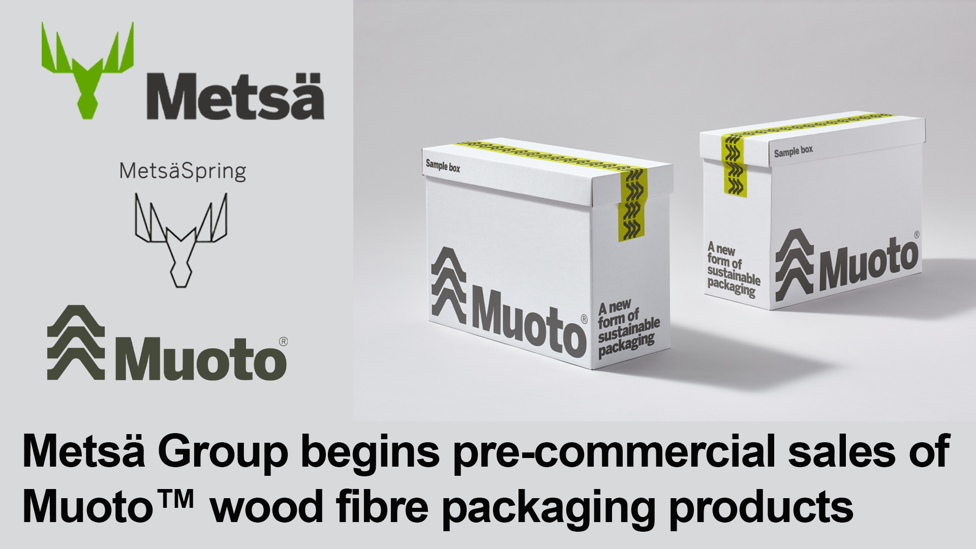 Metsä Group begins pre-commercial sales of Muoto™